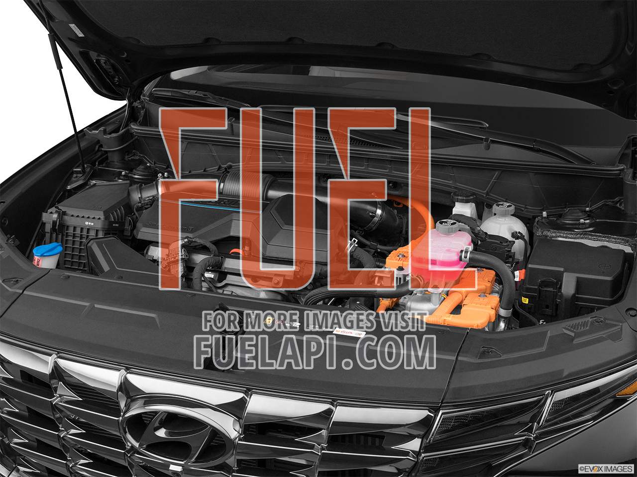 Car Stock Photos - Auto Images - Fuel API